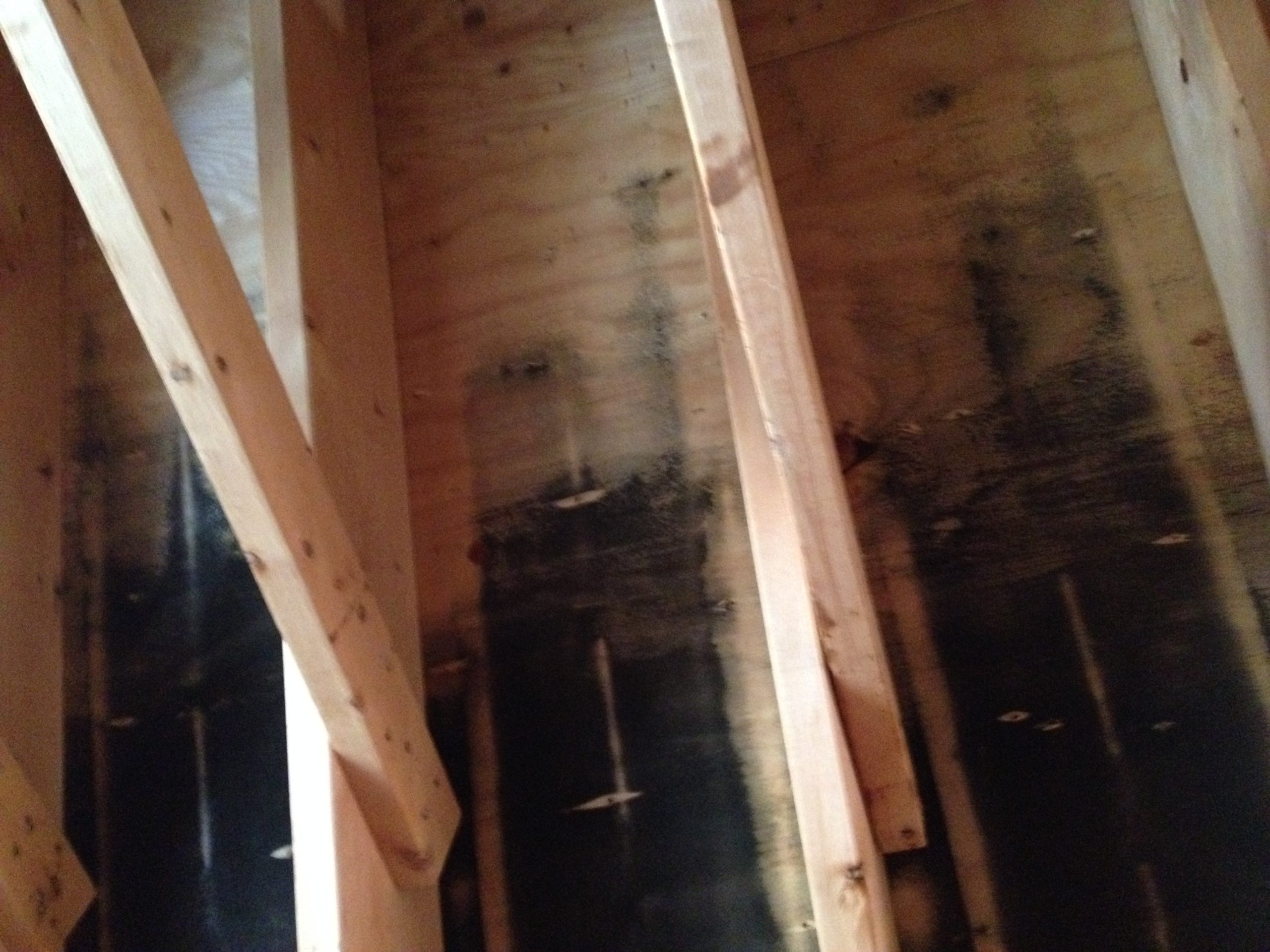 Mold Removal Contractor – Derry, NH - Soil-Away | NH, MA, ME
