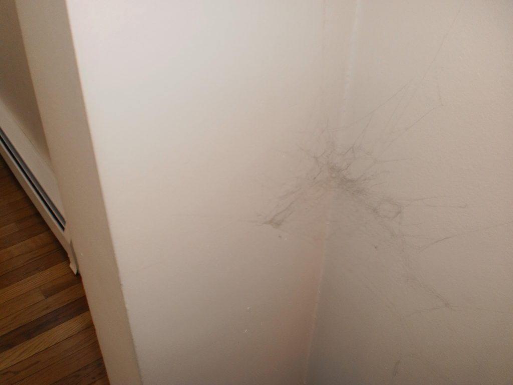 How to Deal With an Oil Furnace Puff Back - Soil-Away | NH, MA, ME