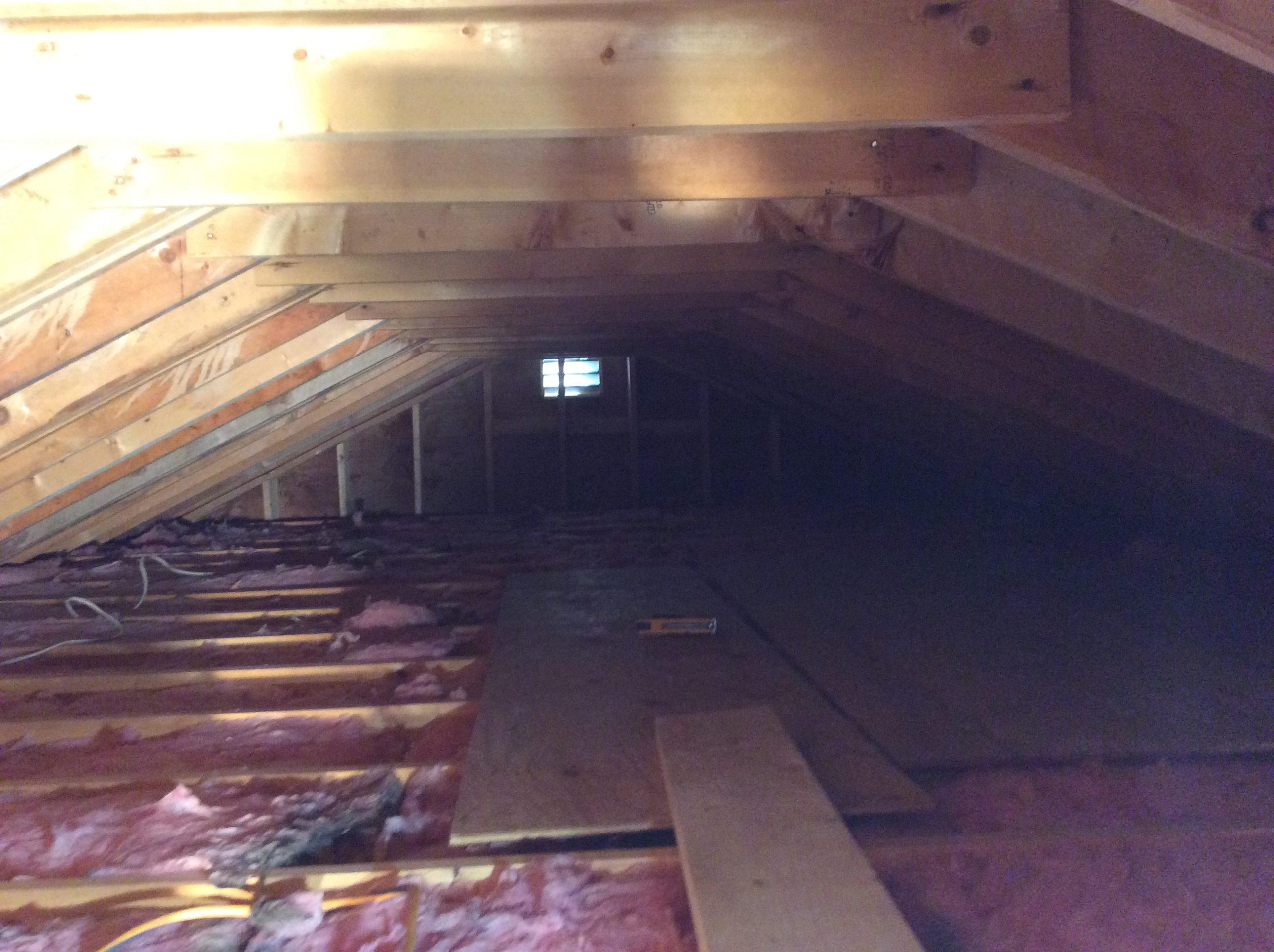 In the Heat and Cold, Your Attic Can Have Mold - Part I - Soil-Away ...